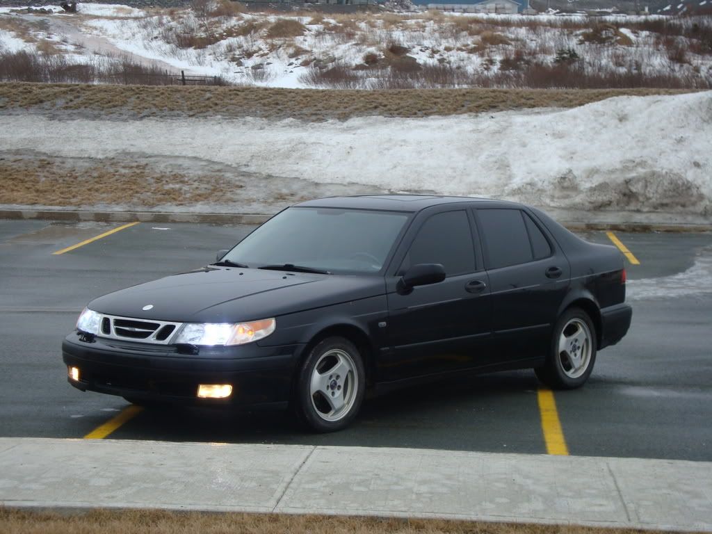 Just a quick update | SaabCentral Forums