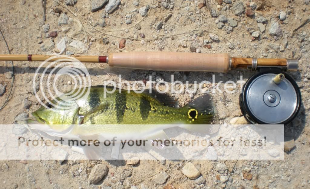 sinking lines - The Classic Fly Rod Forum