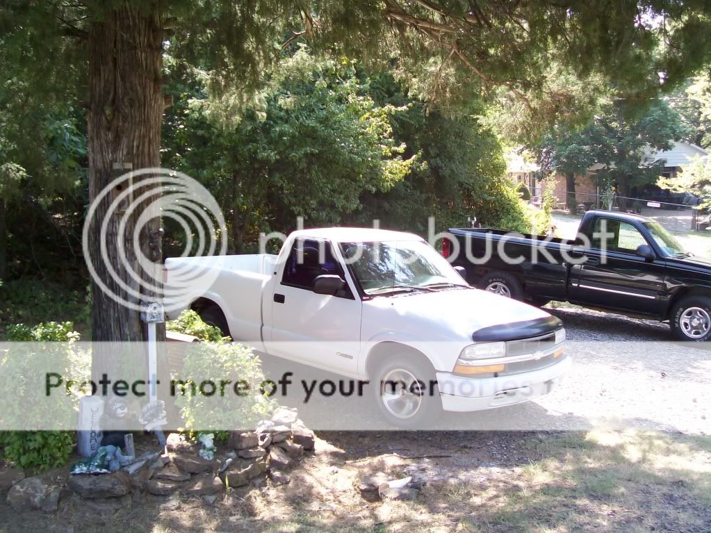 Nice Mustang Mini Stock | STLRacing.com