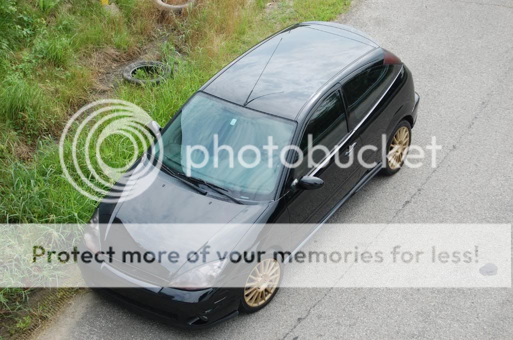 Some new pics of the svt | Focus Fanatics Forum