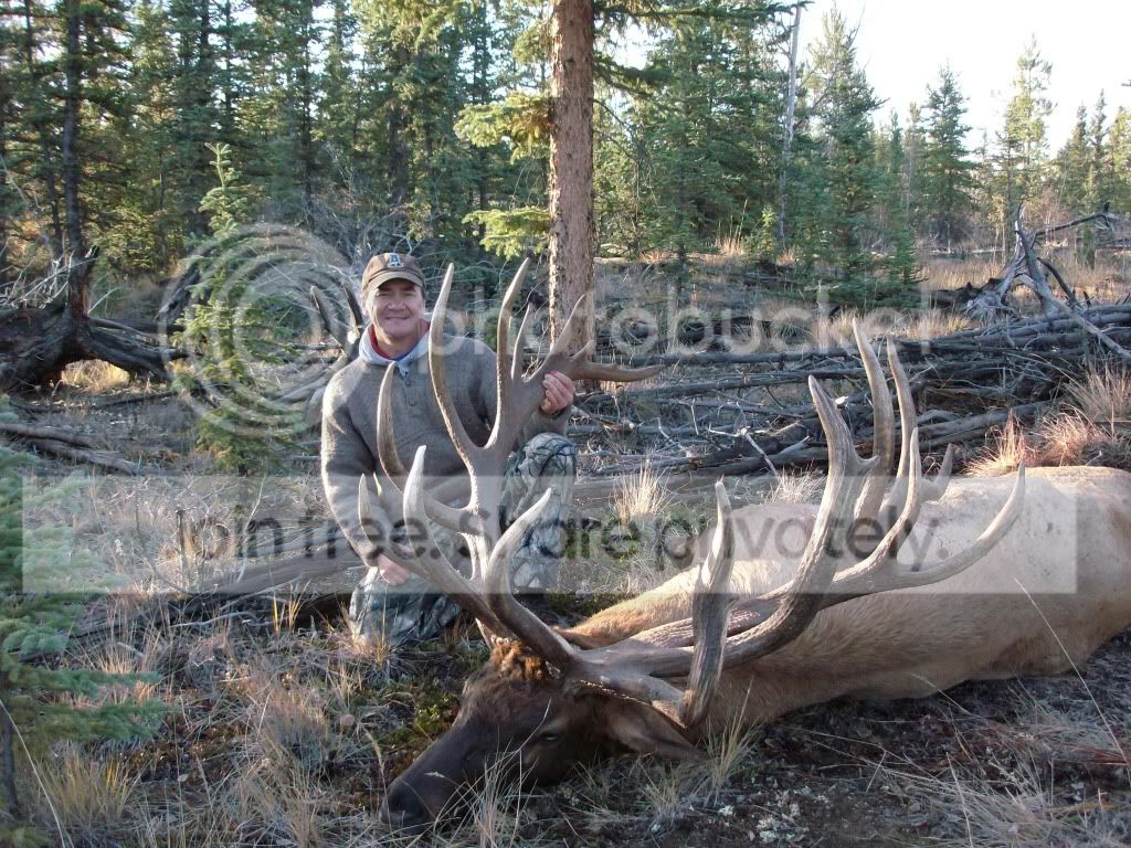 Yukon Elk Hunting - Page 2